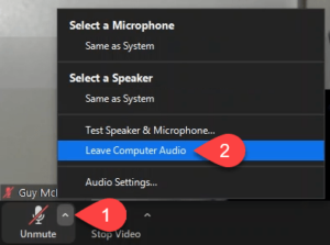 How To Dial Into a Zoom Meeting With a Phone Number