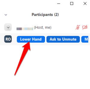 How to Raise a Hand in a Zoom Meeting