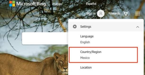 Why is My Amazon in Spanish? Language and Other Important Settings