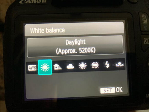 Best Digital Camera Settings to Take Good Nature Pictures