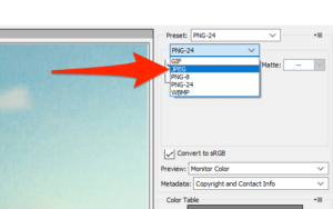 How to Reduce the File Size of an Image or Picture