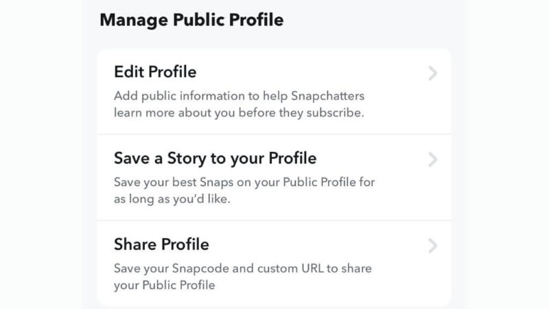 What Is a Public Profile on Snapchat and How To Make One?