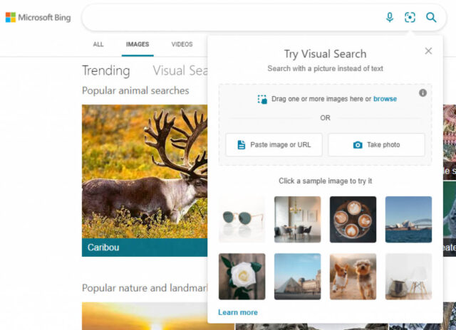 6 Cool Search Engines to Search for Faces
