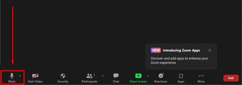 5 Ways to Mute Yourself on Zoom