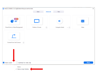 How to Share Audio on Zoom