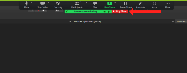 How to Share Audio on Zoom