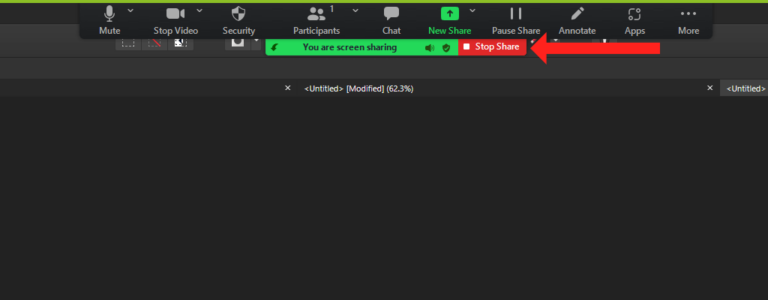 How to Share Audio on Zoom