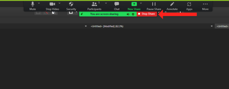 How to Share Audio on Zoom