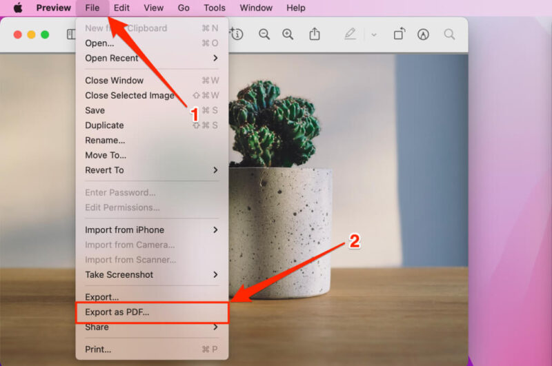 how-to-convert-or-save-a-picture-as-a-pdf-file