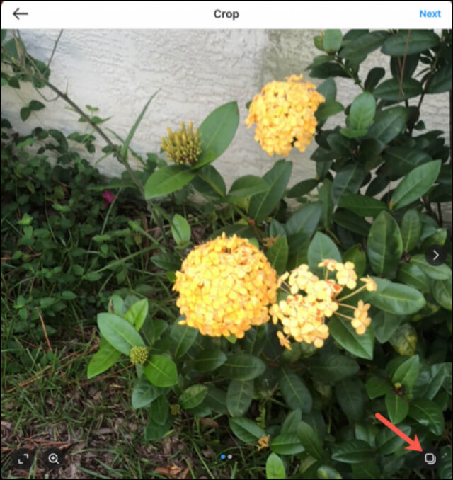 How to Post Multiple Photos on Instagram