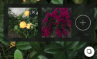 How to Post Multiple Photos on Instagram