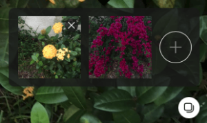How to Post Multiple Photos on Instagram