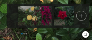 How to Post Multiple Photos on Instagram