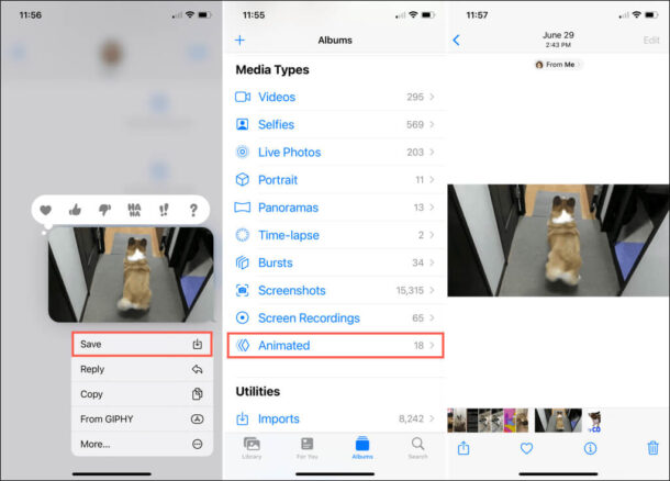 How to Save Animated GIFs to Mobile and Computer