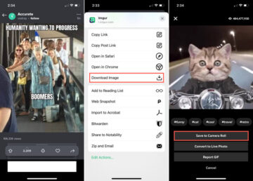 How to Save Animated GIFs to Mobile and Computer