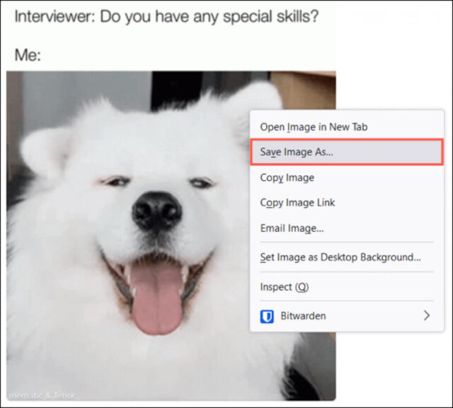 How to Save Animated GIFs to Mobile and Computer
