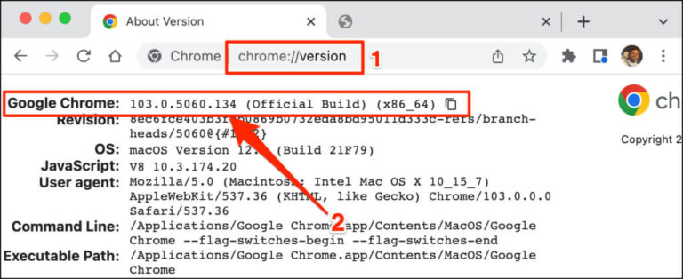 What Version of Google Chrome Do I Have?