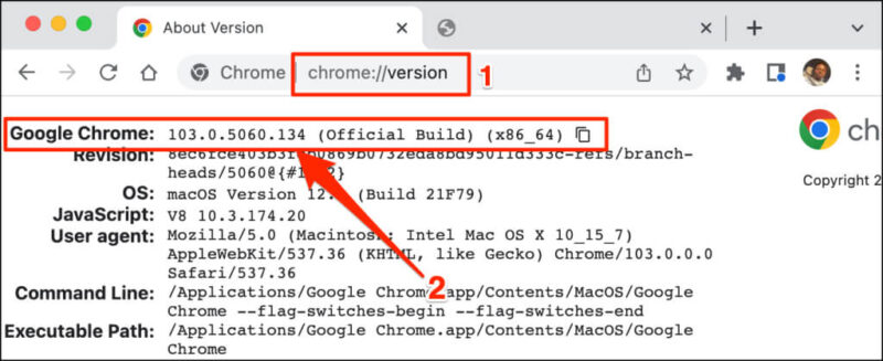 What Version of Google Chrome Do I Have?