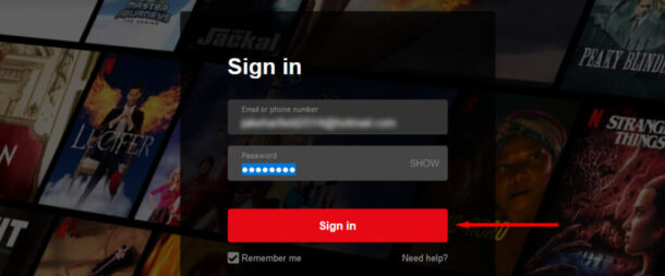 How to Change Your Netflix Password
