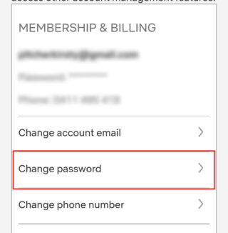 How to Change Your Netflix Password