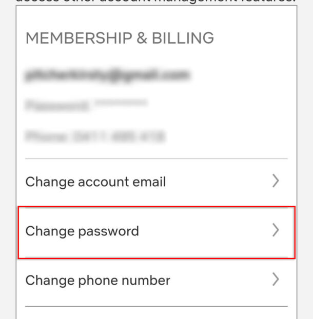 How to Change Your Netflix Password