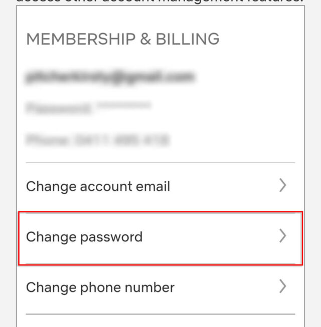 How to Change Your Netflix Password