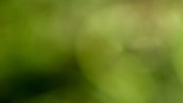 How to Fix Blurry Phone Camera Photos
