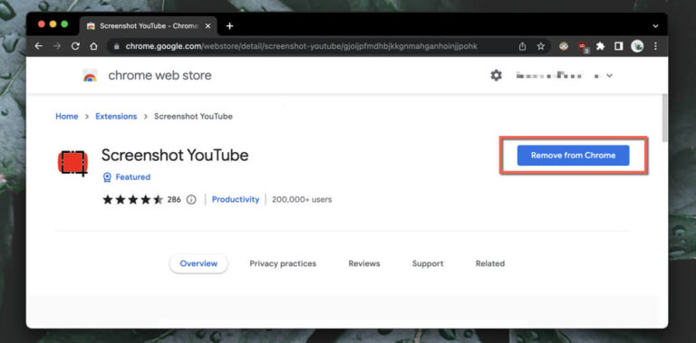 3 Ways to Screenshot YouTube Videos