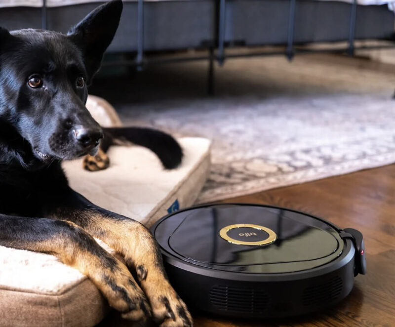 8 Fun Ways to Use Your Smart Home Devices for the Holidays