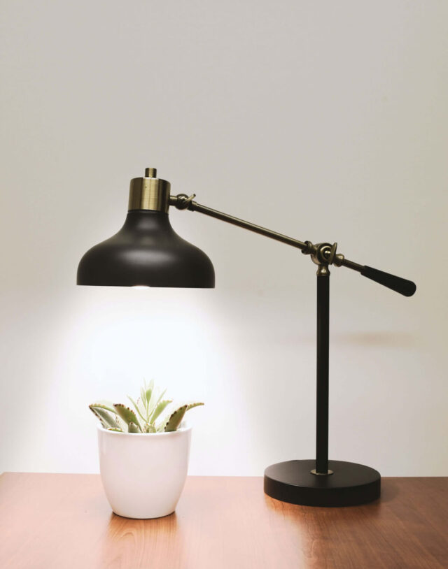 6 Best Desk Lamps for Your Home Office