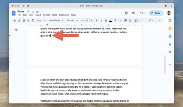 How to Remove Page Breaks and Section Breaks in Google Docs