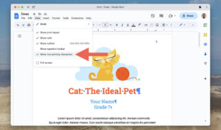 How to Remove Page Breaks and Section Breaks in Google Docs
