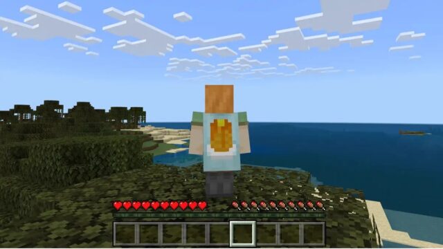 How to Get Capes in Minecraft