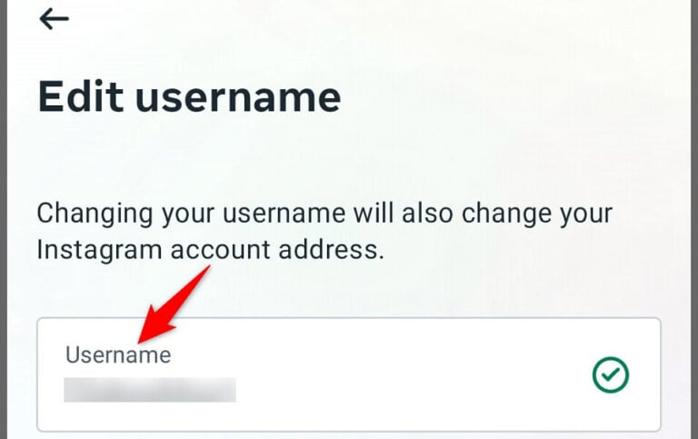 Why Does Instagram Say “User Not Found”?