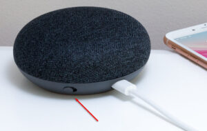 How to Reset Google Home or Nest Mini