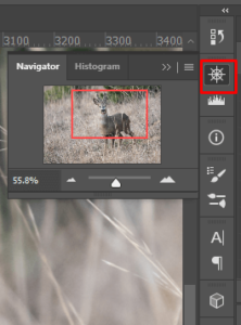 How to Zoom (In and Out) in Photoshop