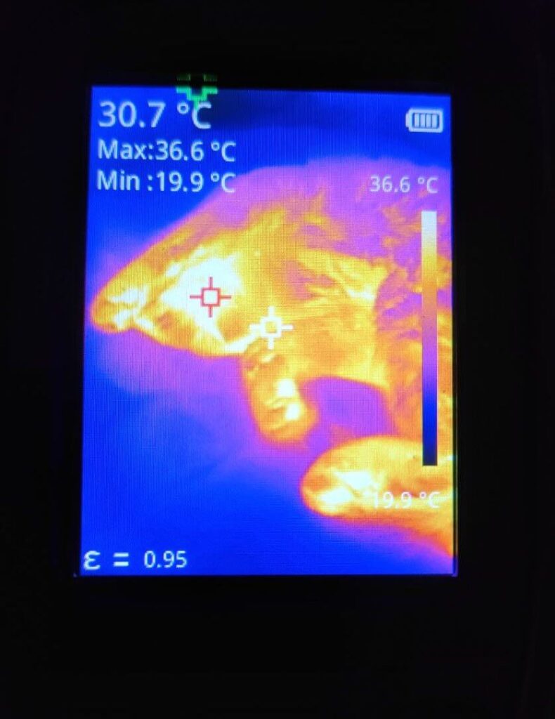 TopDon TC004 – a Thermal Imaging Camera That Will Give You Predator Vision